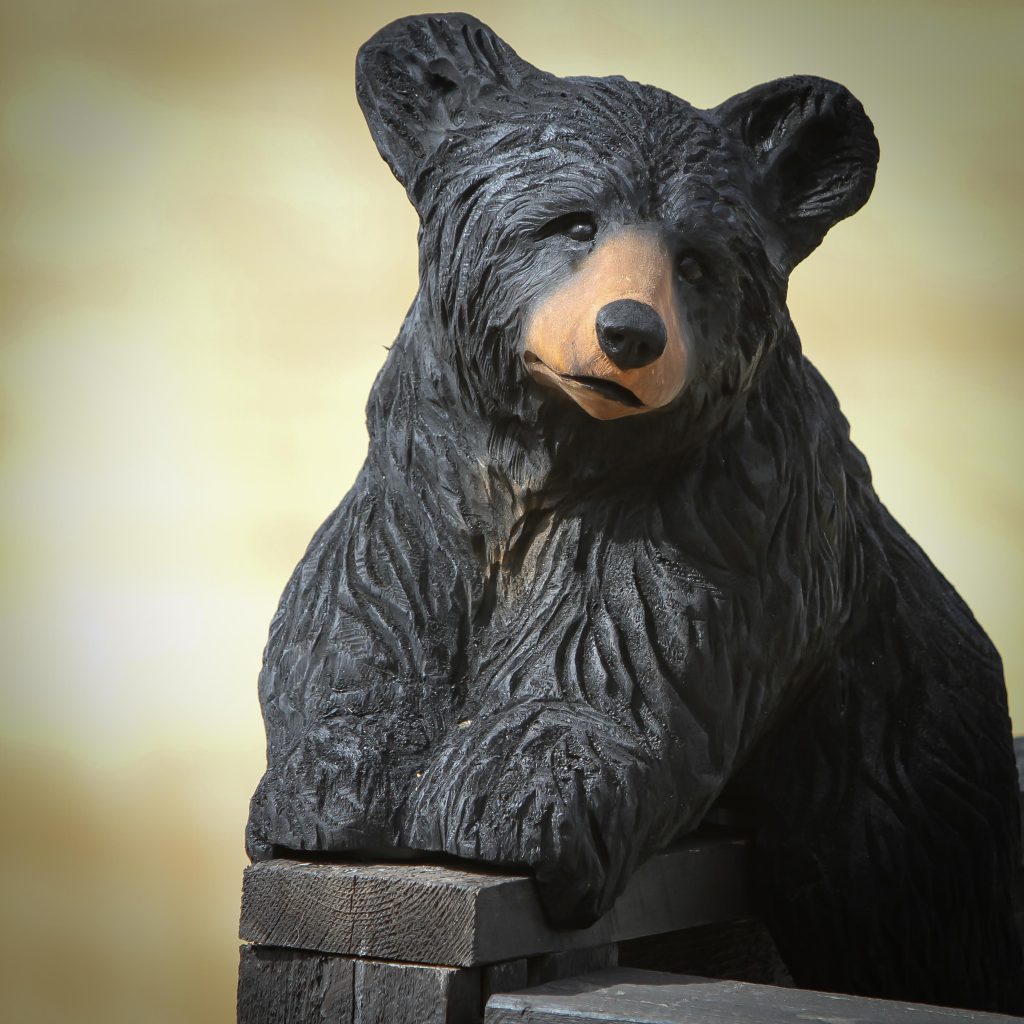 Jeff May Art / Realistic Carved Black Bear Beam Mount